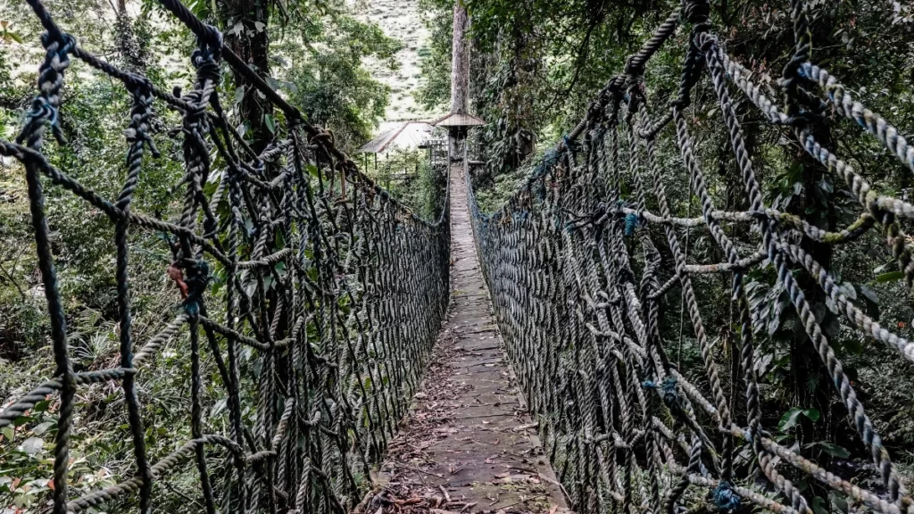 Desa Wisata Malasari, Harta Karun di Ujung Bogor